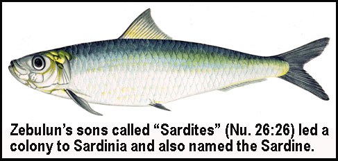 British-israel.us -- Is Holland ZEBULUN?