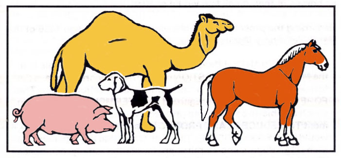 British-Israel.us - Lesson 2 - Are the FOOD LAWS Scientific?